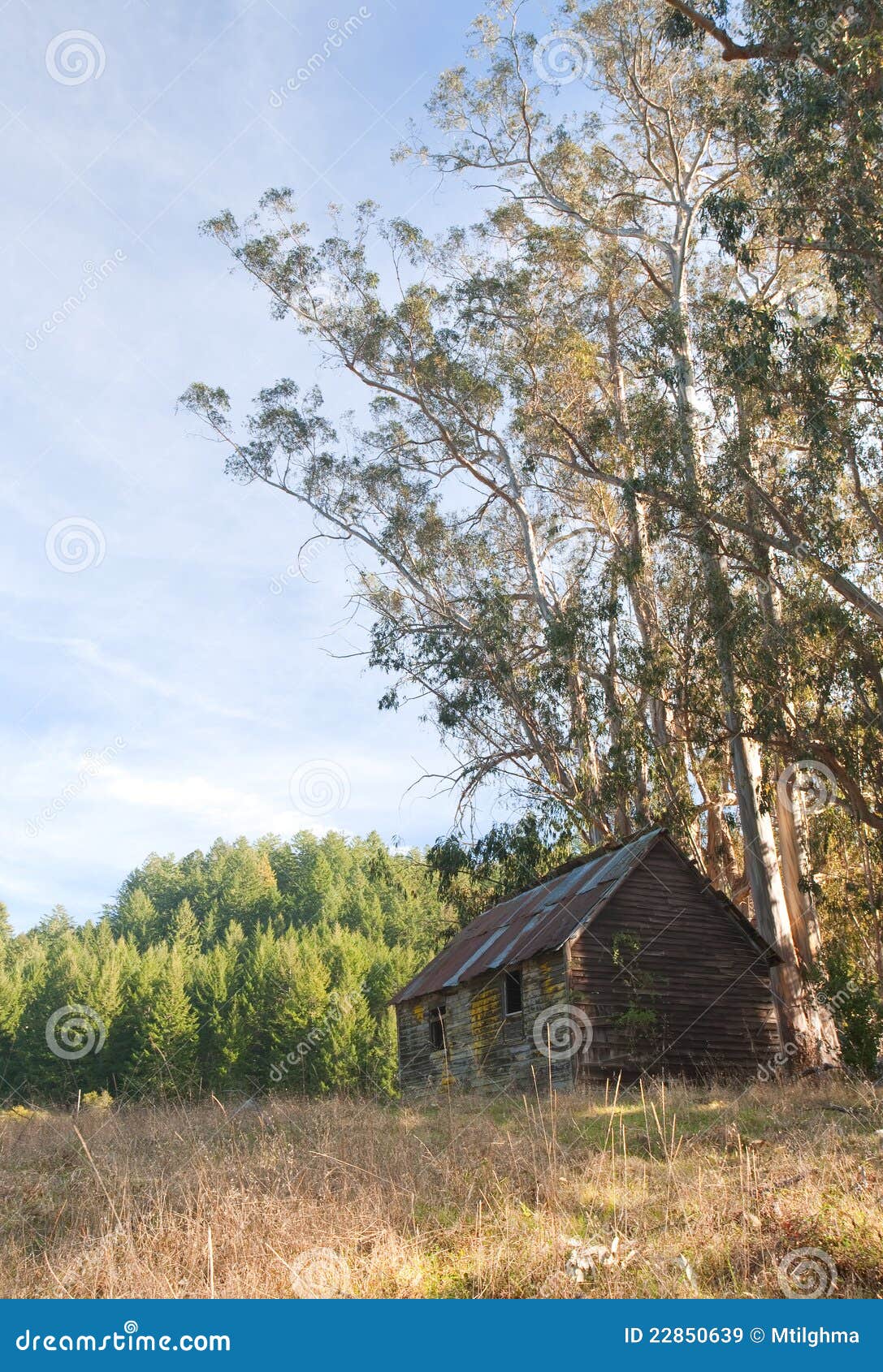Abandoned Cabin Stock Photography | CartoonDealer.com #54611966