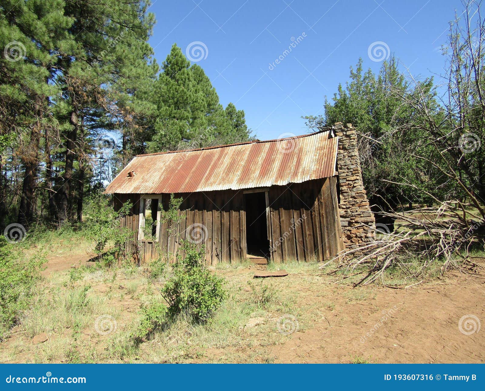 Old Abandoned Cabin in the Woods Stock Photo - Image of architecture ...
