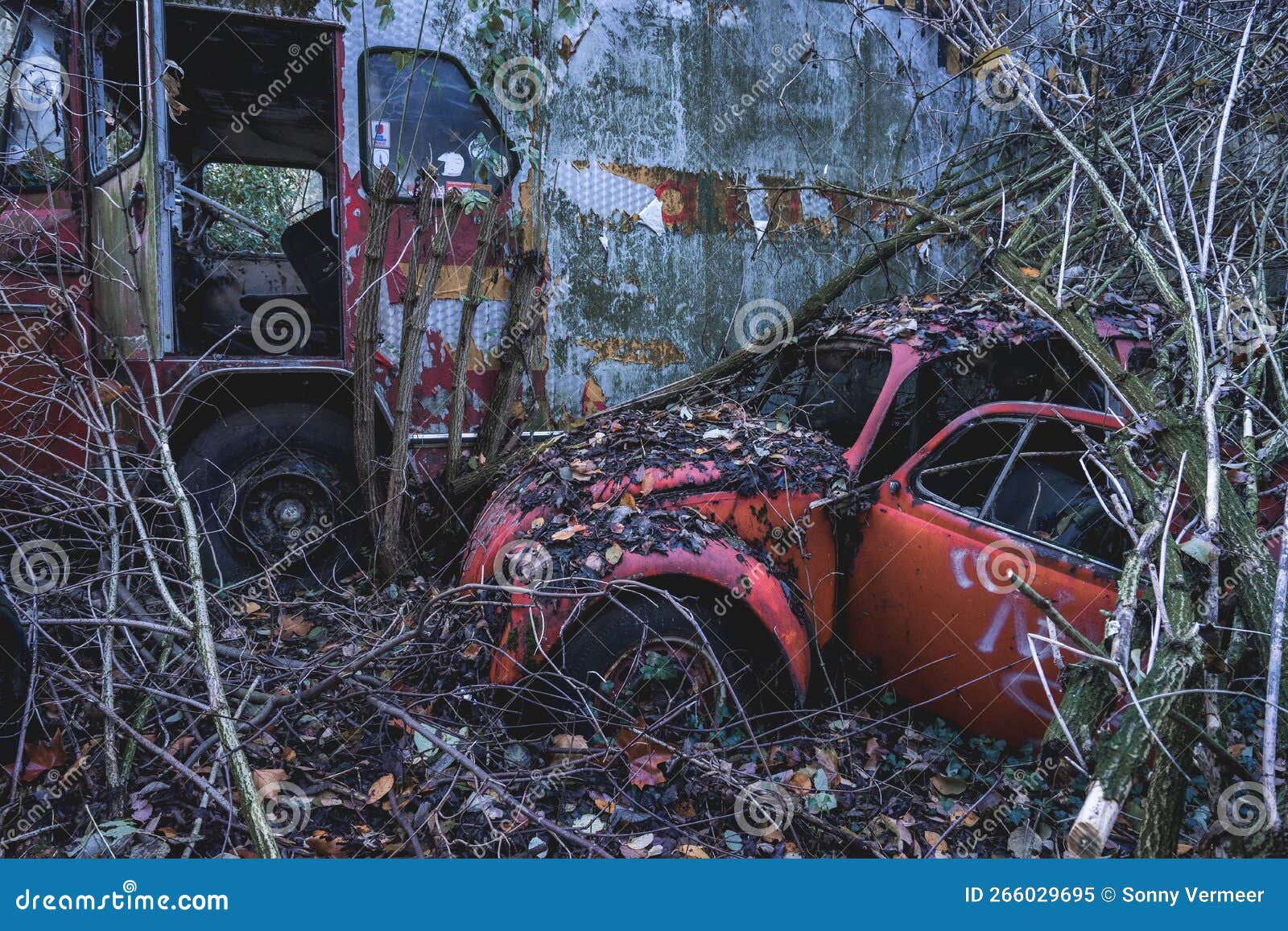 Old Abandoned Cars Dumped in the Forest. Stock Image - Image of danger ...