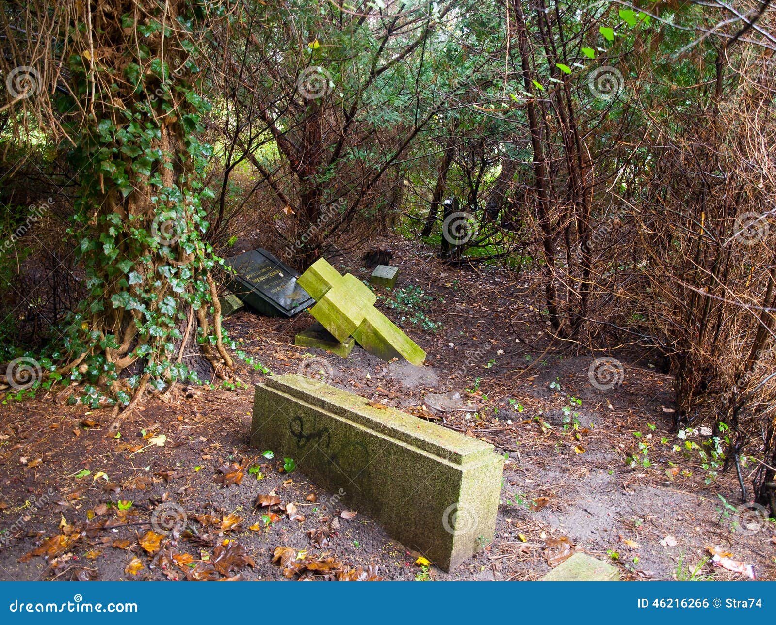 Old abandoned cemetery stock photo. Image of ruhe, still - 46216266