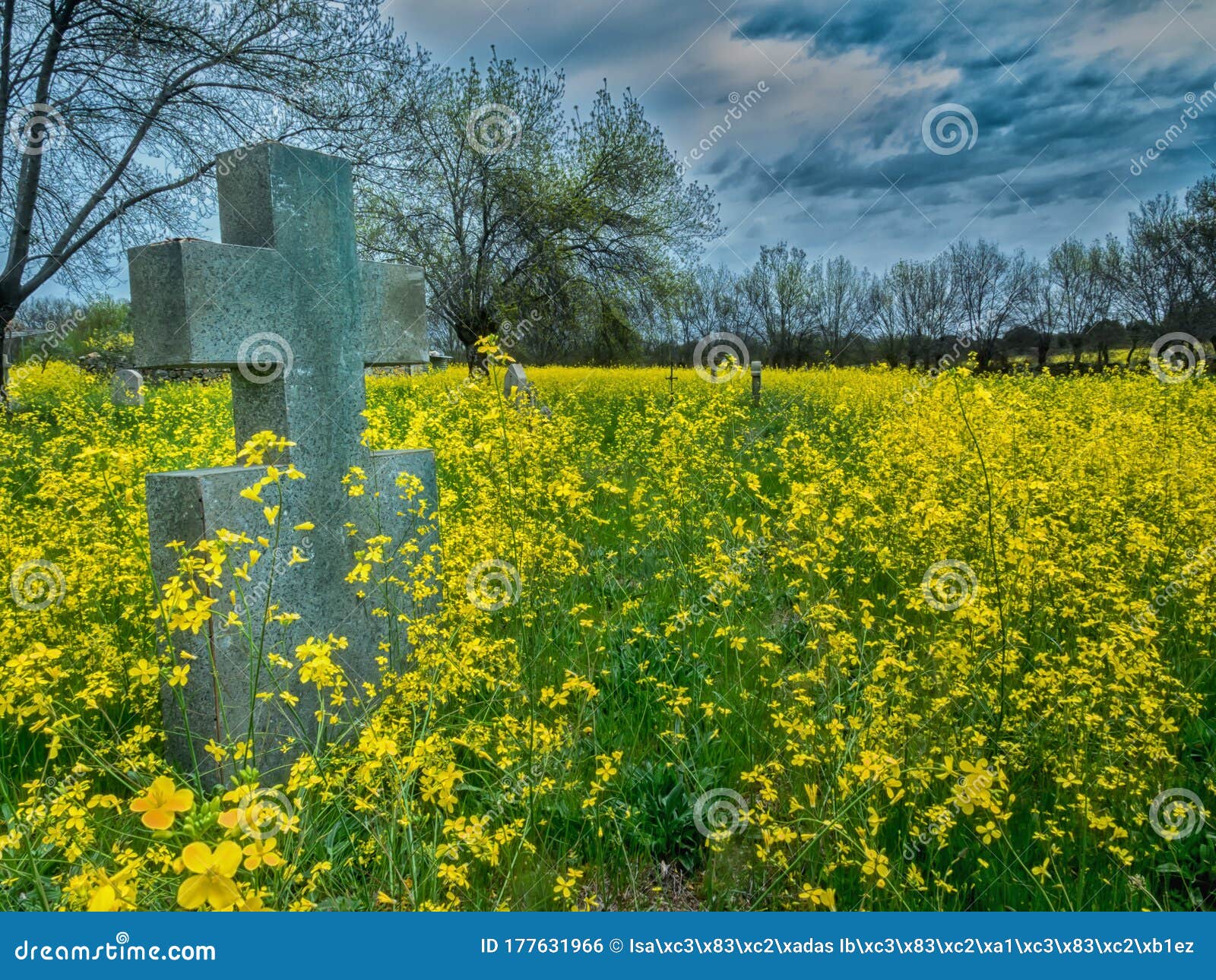 Old Abandoned Cemetery in Spring Stock Photo - Image of idyllic, field ...