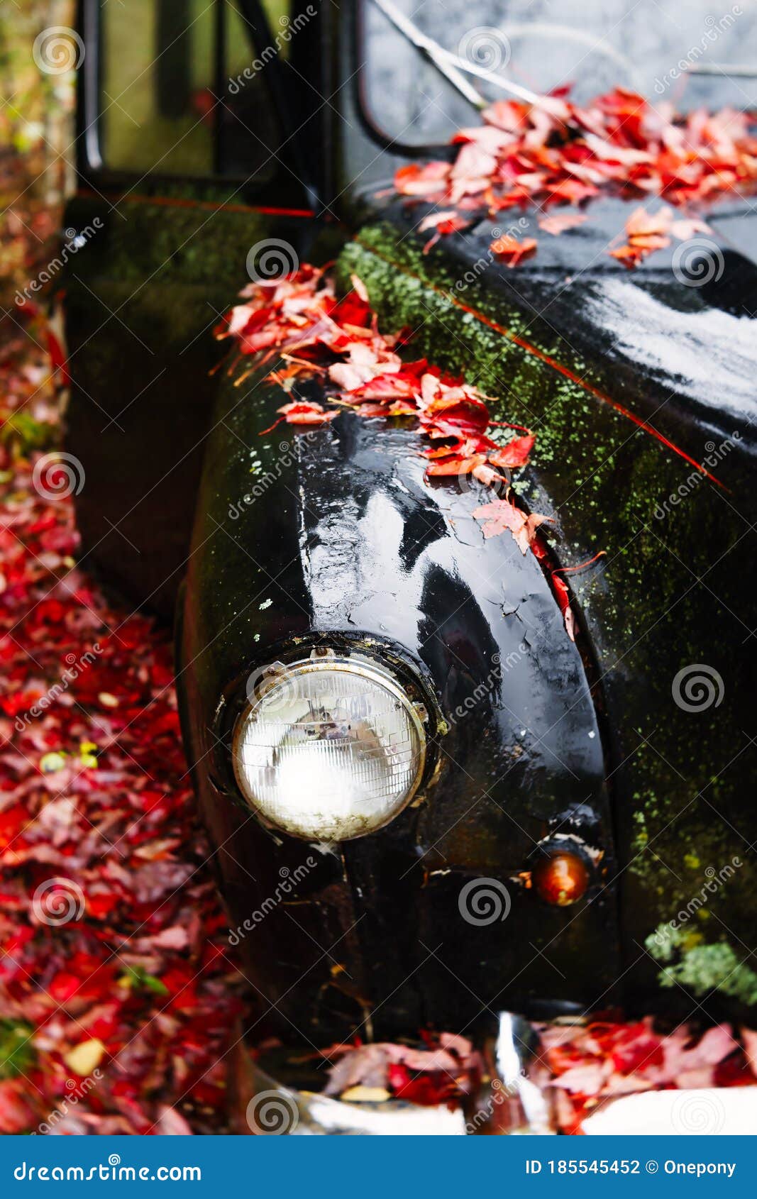Classic Car in Fall stock photo. Image of closeup, nostalgia - 185545452