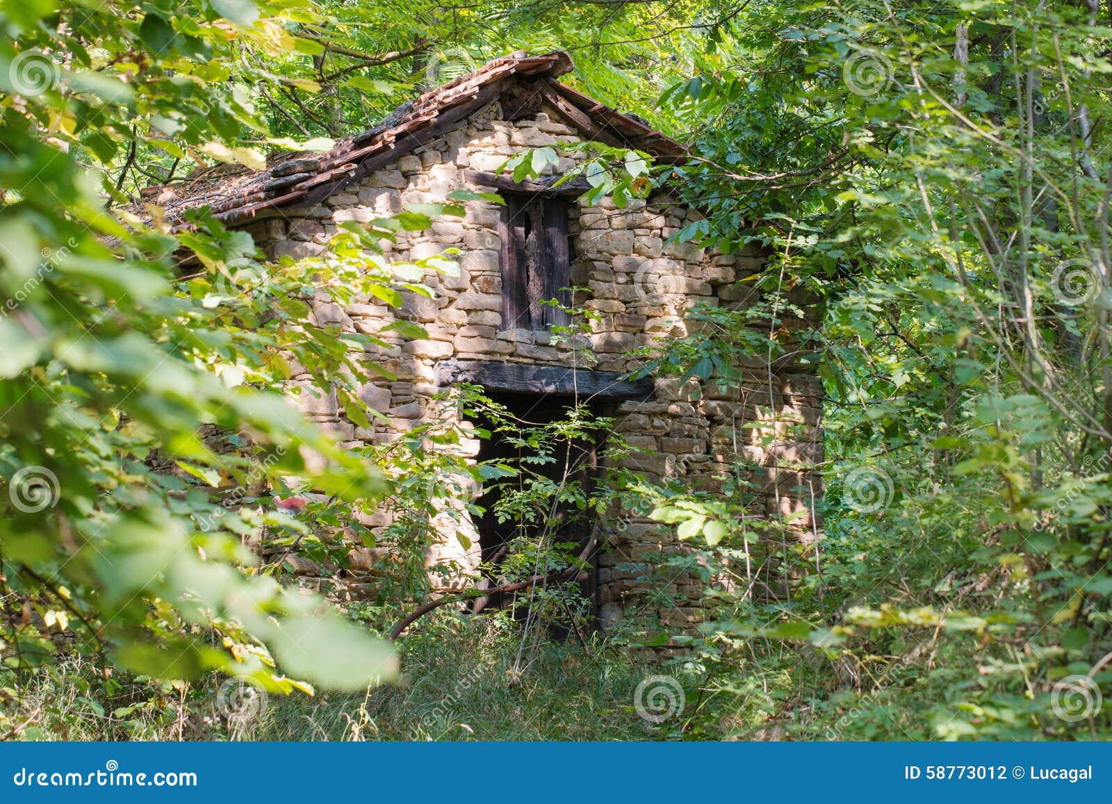 Old Abandoned Cottage in the Woods Stock Photo - Image of dirt ...