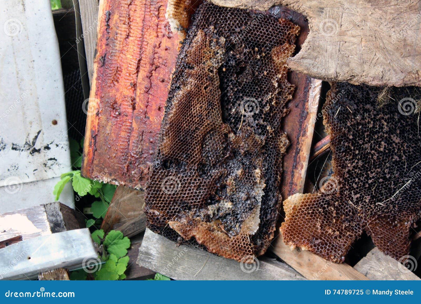 An Old Abandoned and Deserted Beehive Stock Image - Image of deserted ...