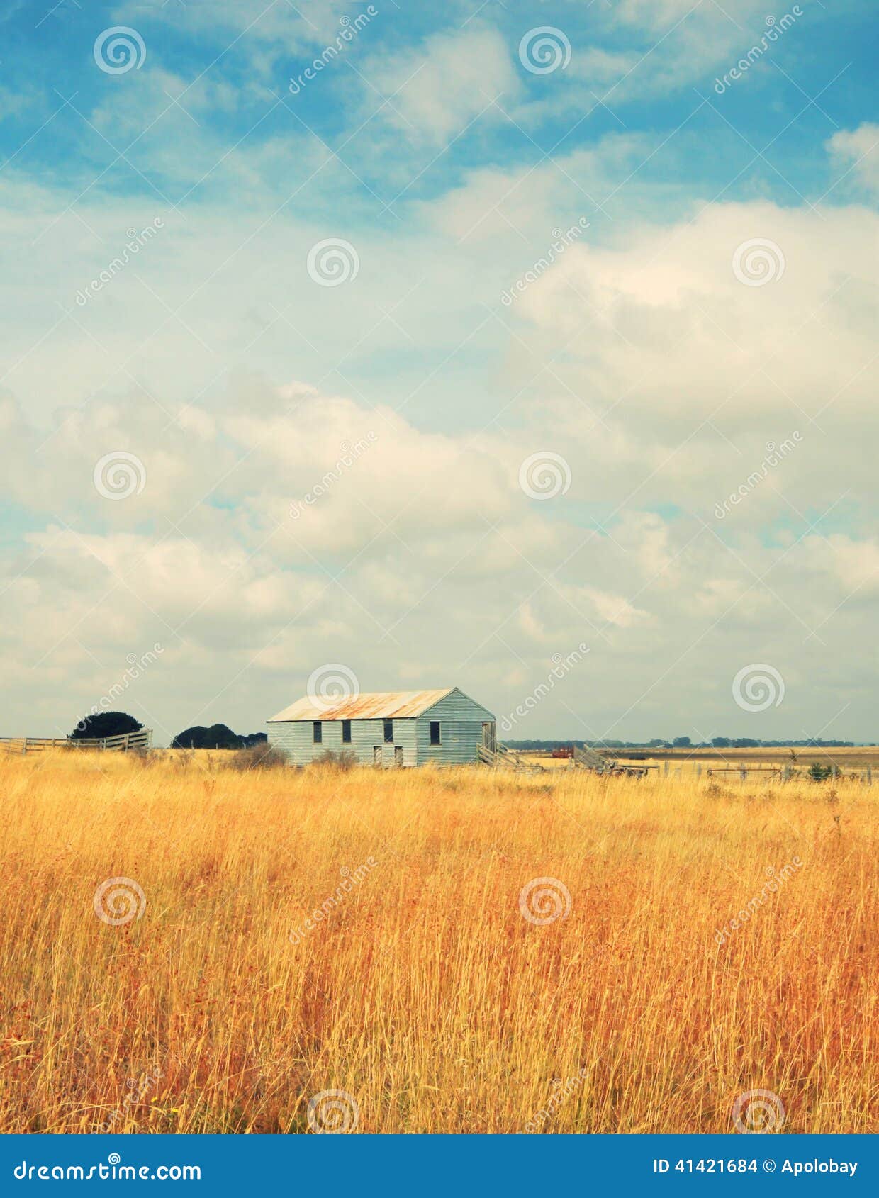 Old Abandoned Farm in Field Stock Photo - Image of home, building: 41421684