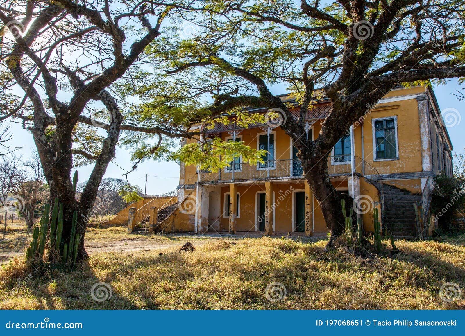 Old Abandoned Farm House in Brazil with Great Trees Stock Image - Image ...