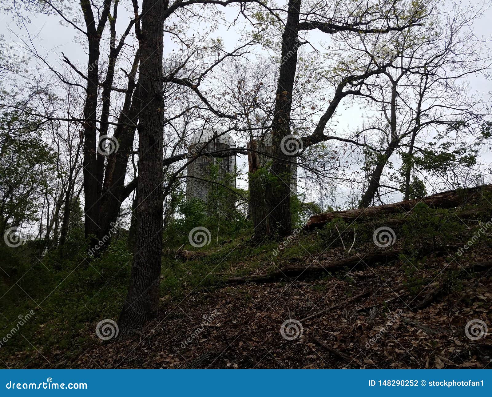 Old Abandoned Farm Silos and Trees and Branches Stock Photo - Image of ...