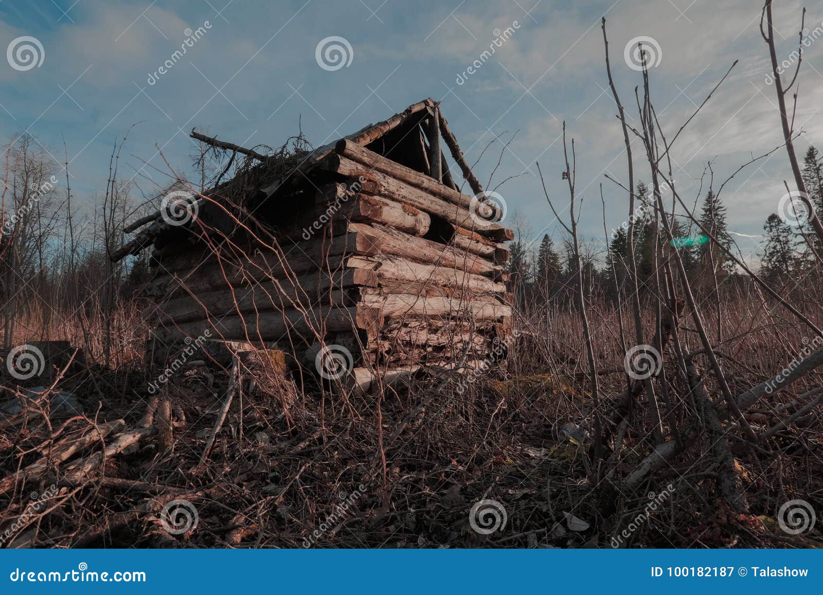 Old abandoned forest hut stock image. Image of structure - 100182187