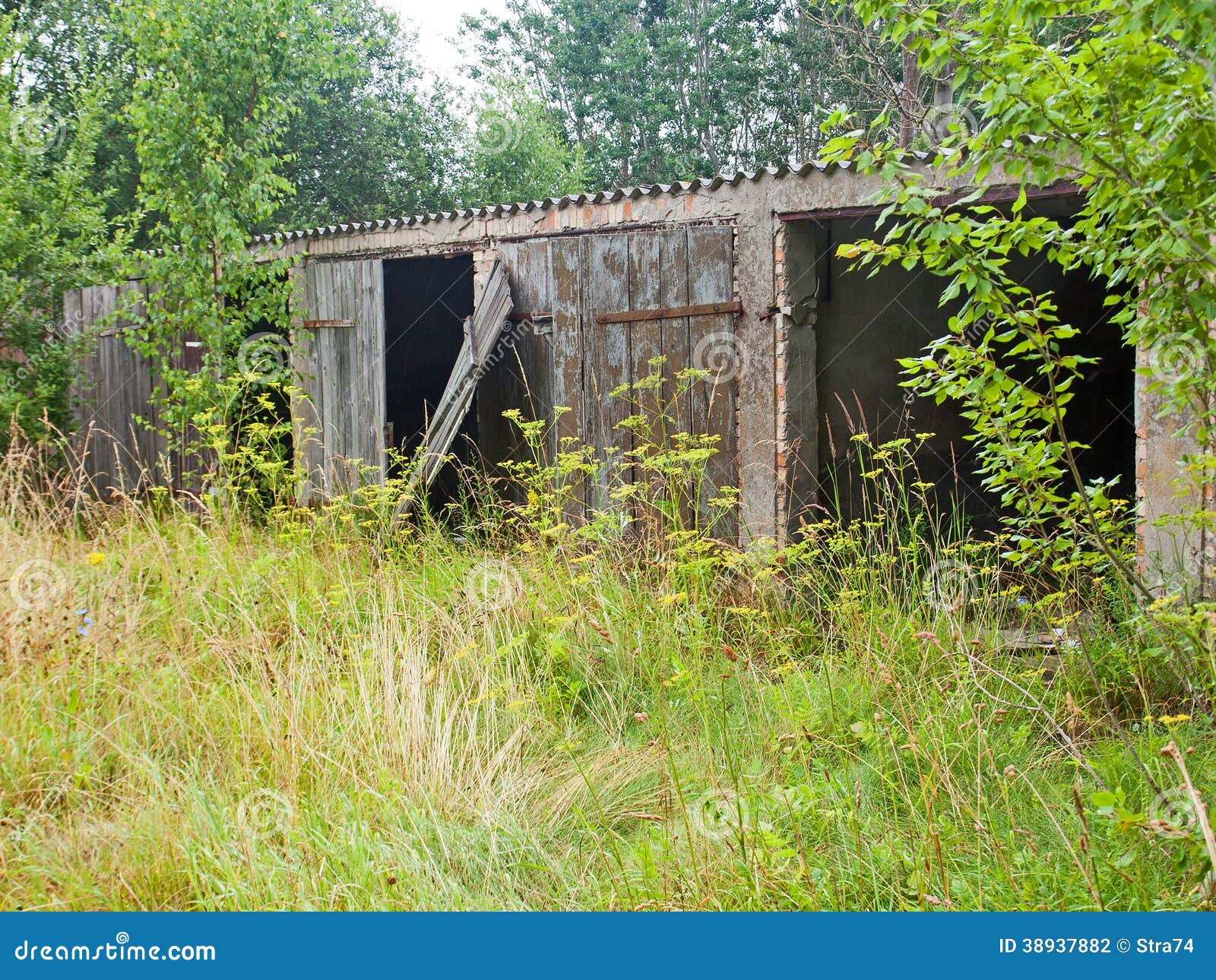 Old abandoned garage stock photo. Image of empty, overgrown - 38937882