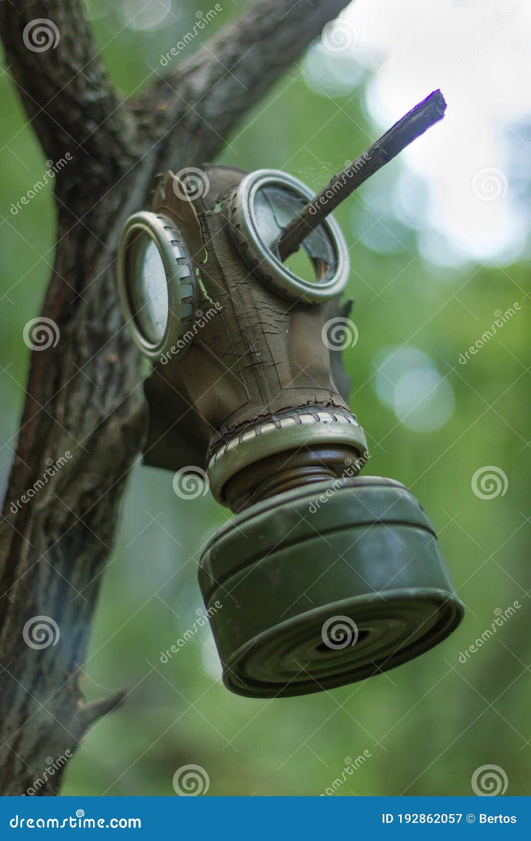 Old Abandoned Gas Mask Hanging on a Branch Stock Image - Image of ...