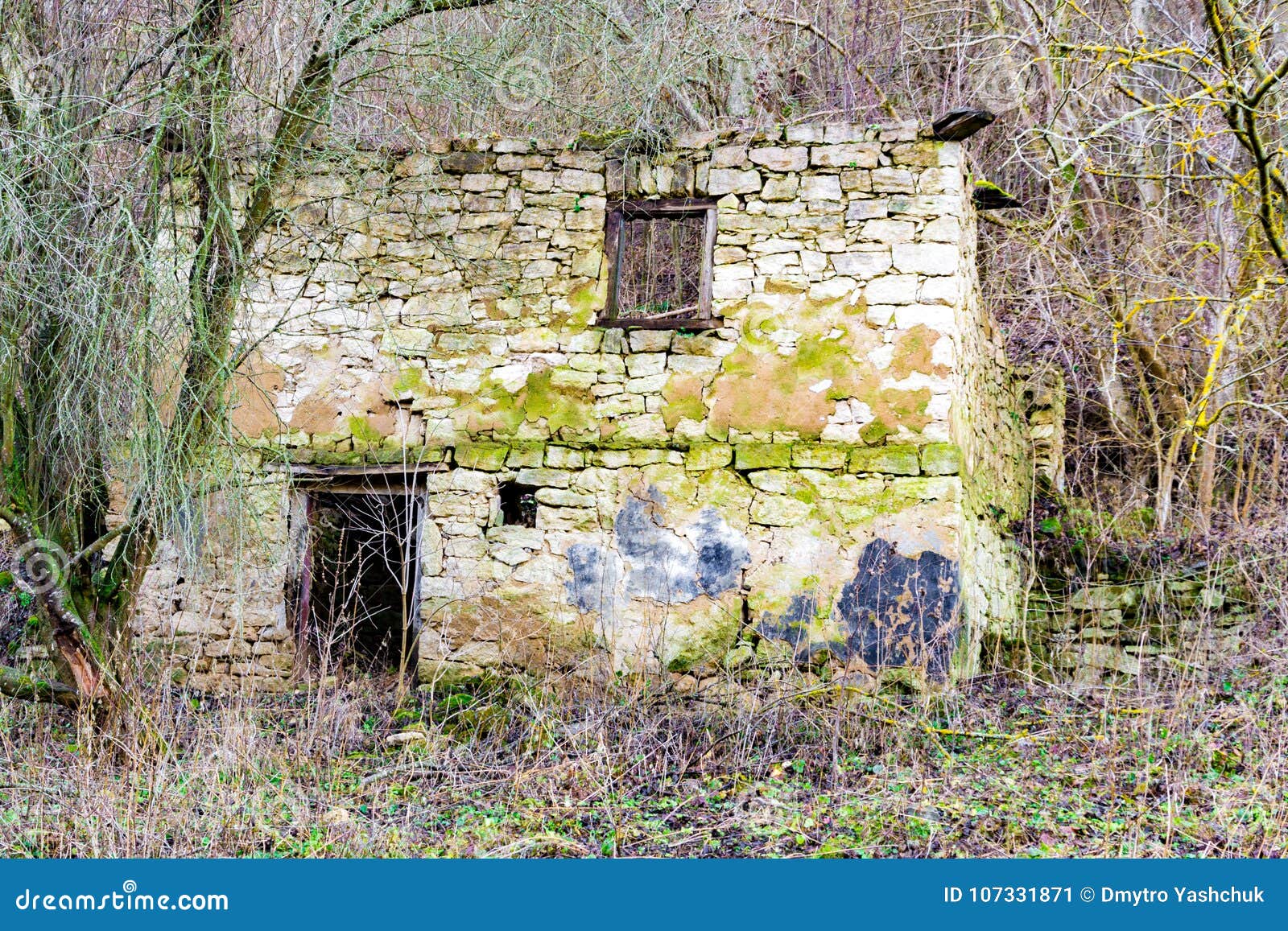 Old Abandoned Hut, Overgrown Grass and Crest Stock Image - Image of ...