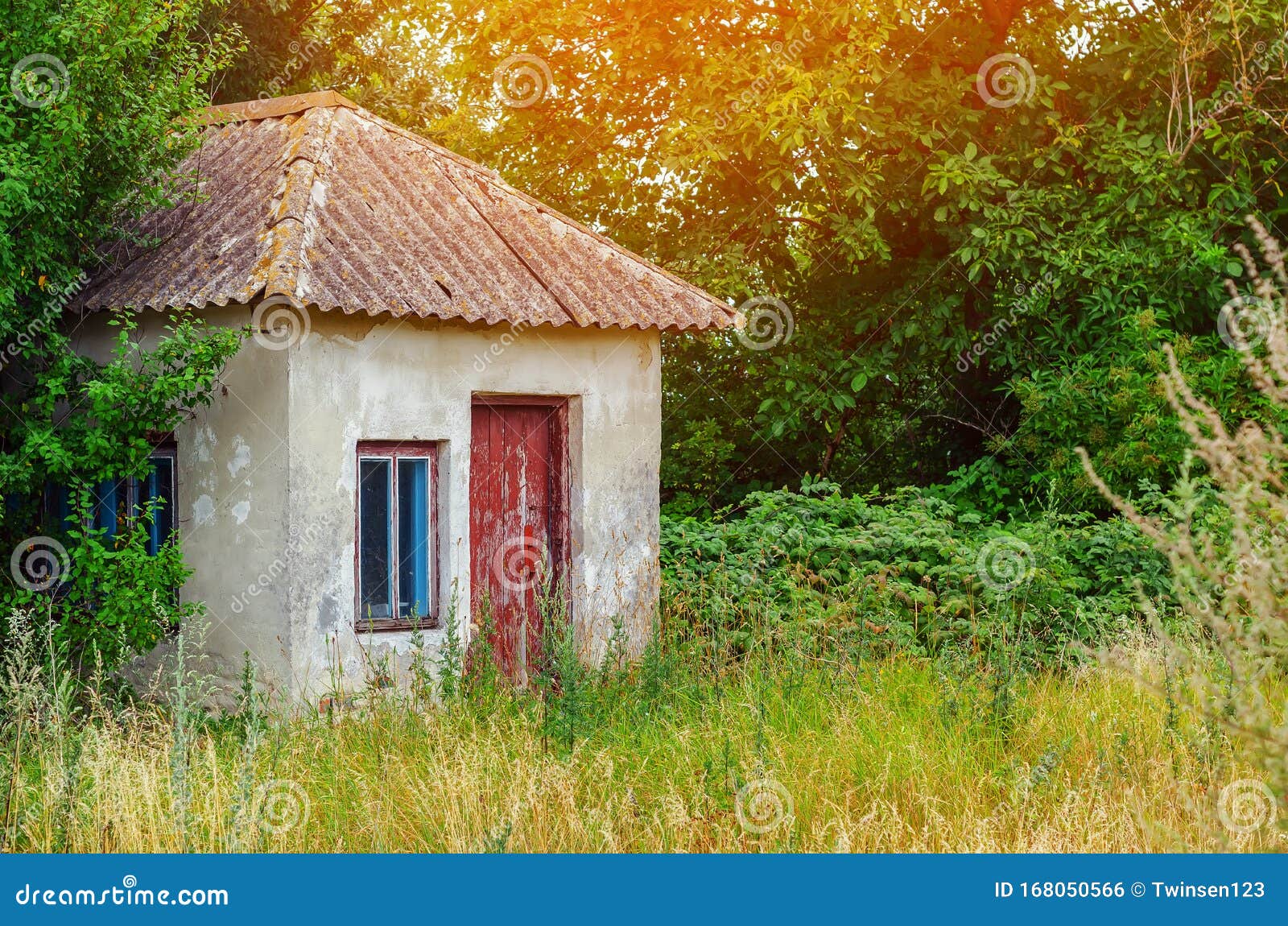 Old Abandoned Little House Overgrown with Trees on the Edge of the ...