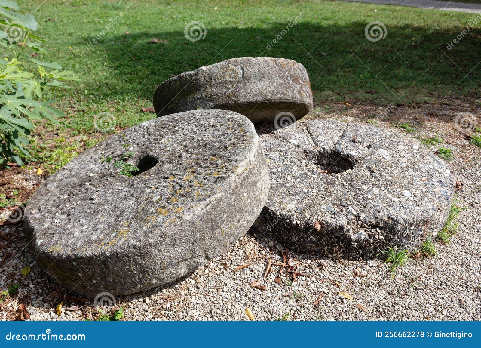 Old Abandoned Oil Mill Stones Stock Photo - Image of equipment, culture: 256662278