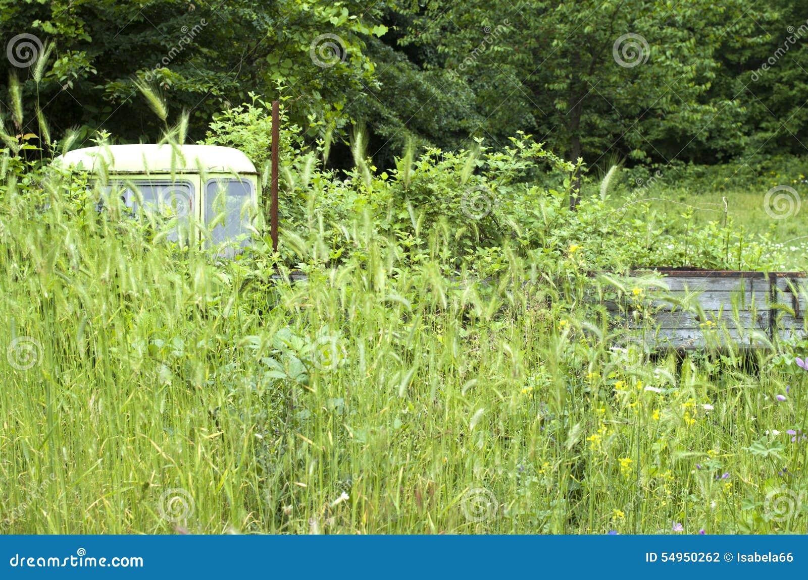 Old Abandoned Overgrown Car Stock Photo - Image of plains, rundown ...