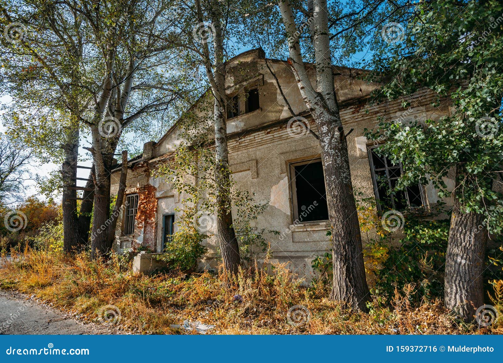 Old Abandoned Overgrown Ruined Building Stock Photo - Image of history ...