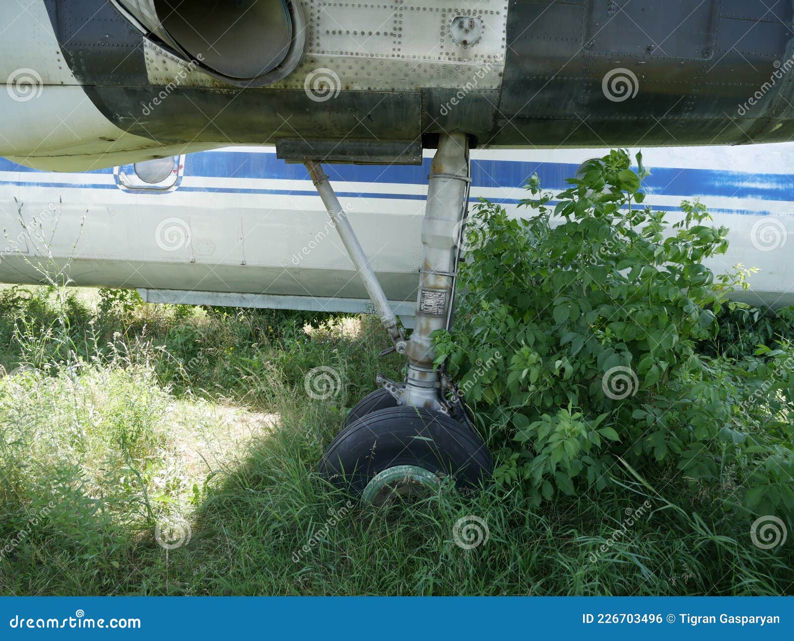 Old Abandoned Passenger Plane. There is a Broken Plane in the Wasteland ...