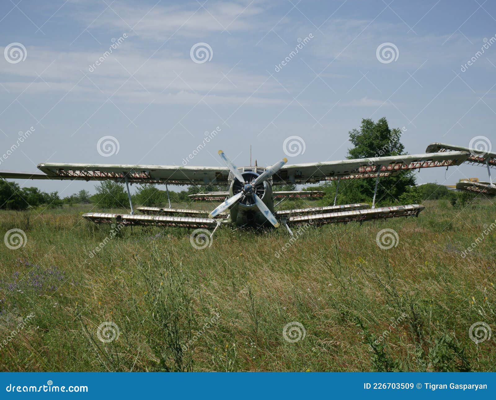 Old Abandoned Passenger Plane. There is a Broken Plane in the Wasteland ...