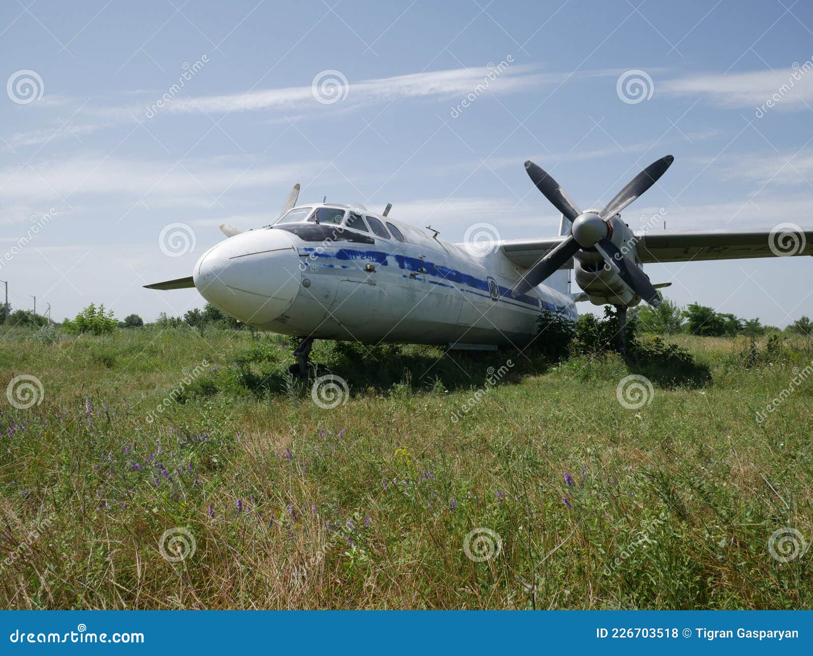 Old Abandoned Passenger Plane. There is a Broken Plane in the Wasteland ...