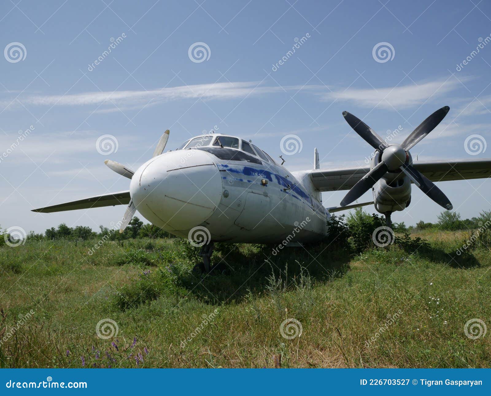 Old Abandoned Passenger Plane. There is a Broken Plane in the Wasteland ...