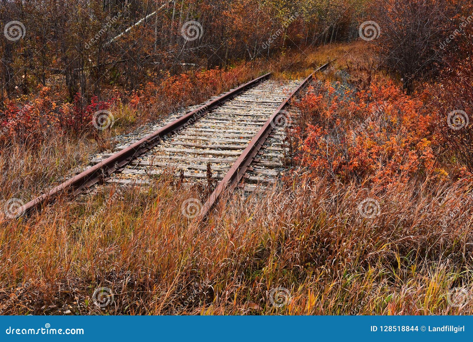Old Abandoned Rail Tracks stock photo. Image of iron - 128518844