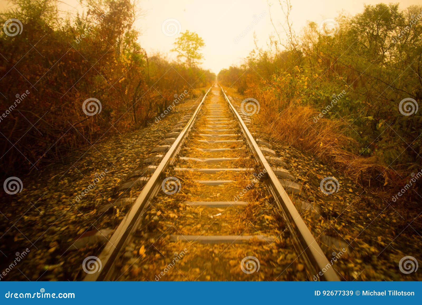 Old Abandoned Railroad Train Tracks Stock Image - Image of track ...