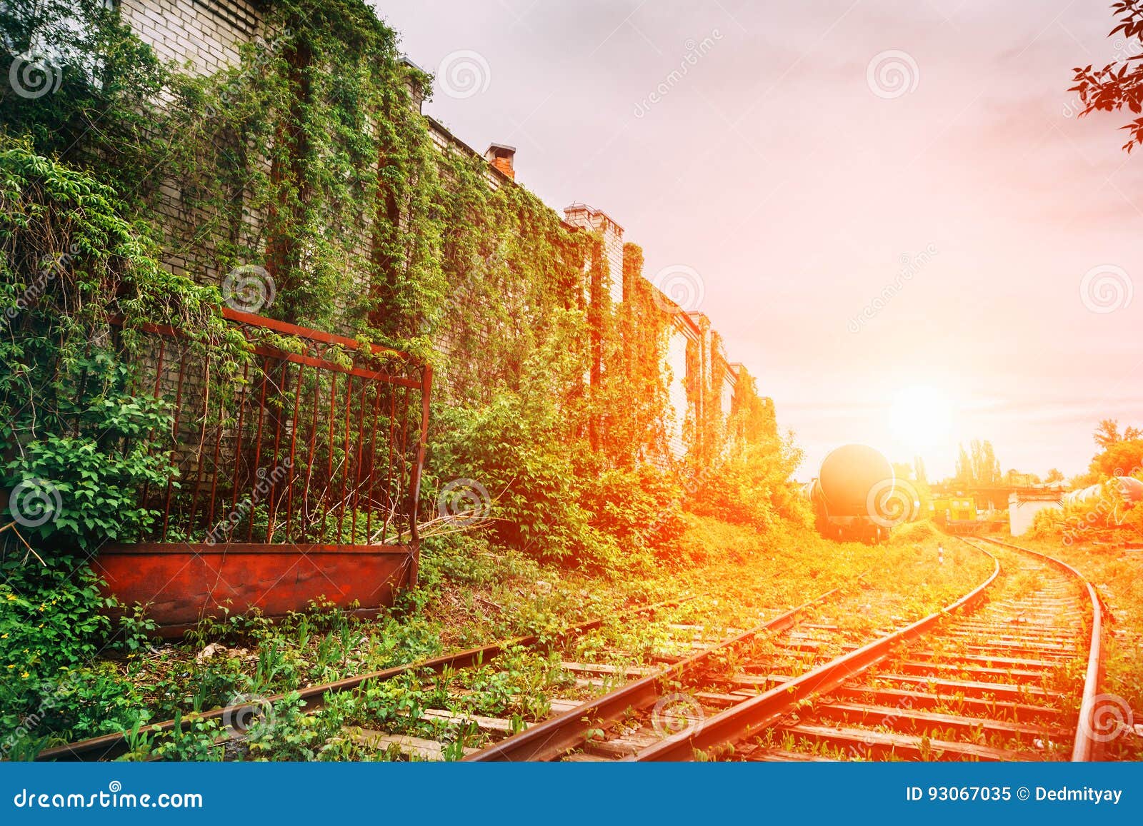 The Old Abandoned Railway or Rail Road Stock Image - Image of green ...