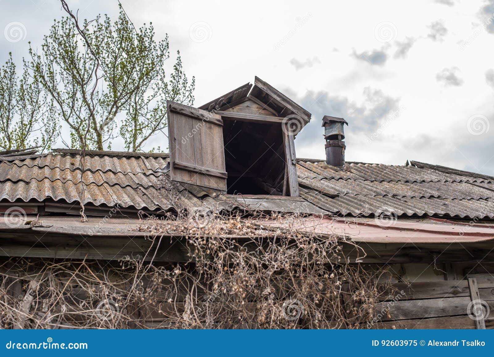 Old Abandoned Rotting House in the Village Stock Image - Image of ...