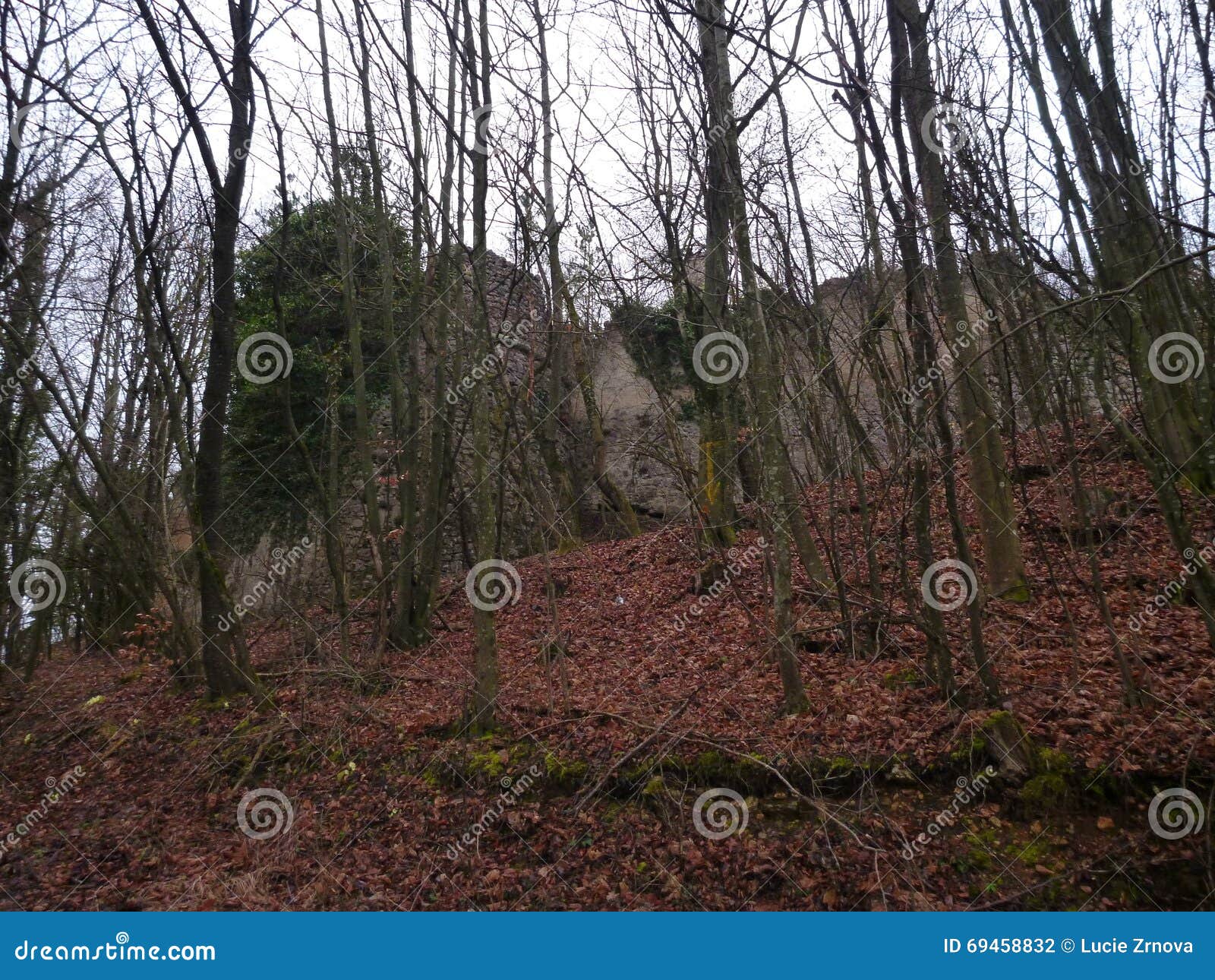 Old Abandoned Ruin of a Castle Covered with Vegetation Stock Photo ...