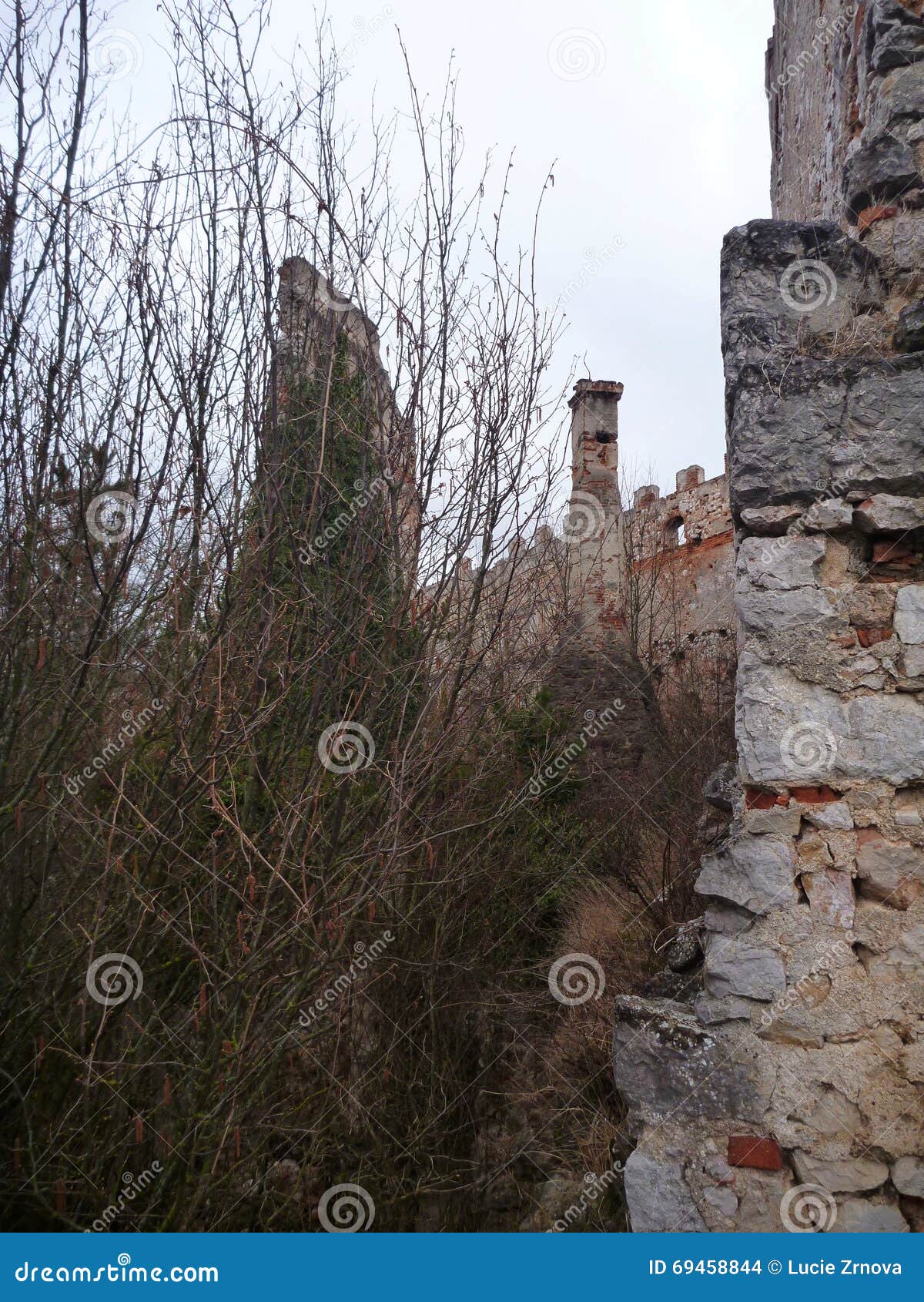 Old Abandoned Ruin of a Castle Covered with Vegetation Stock Photo ...