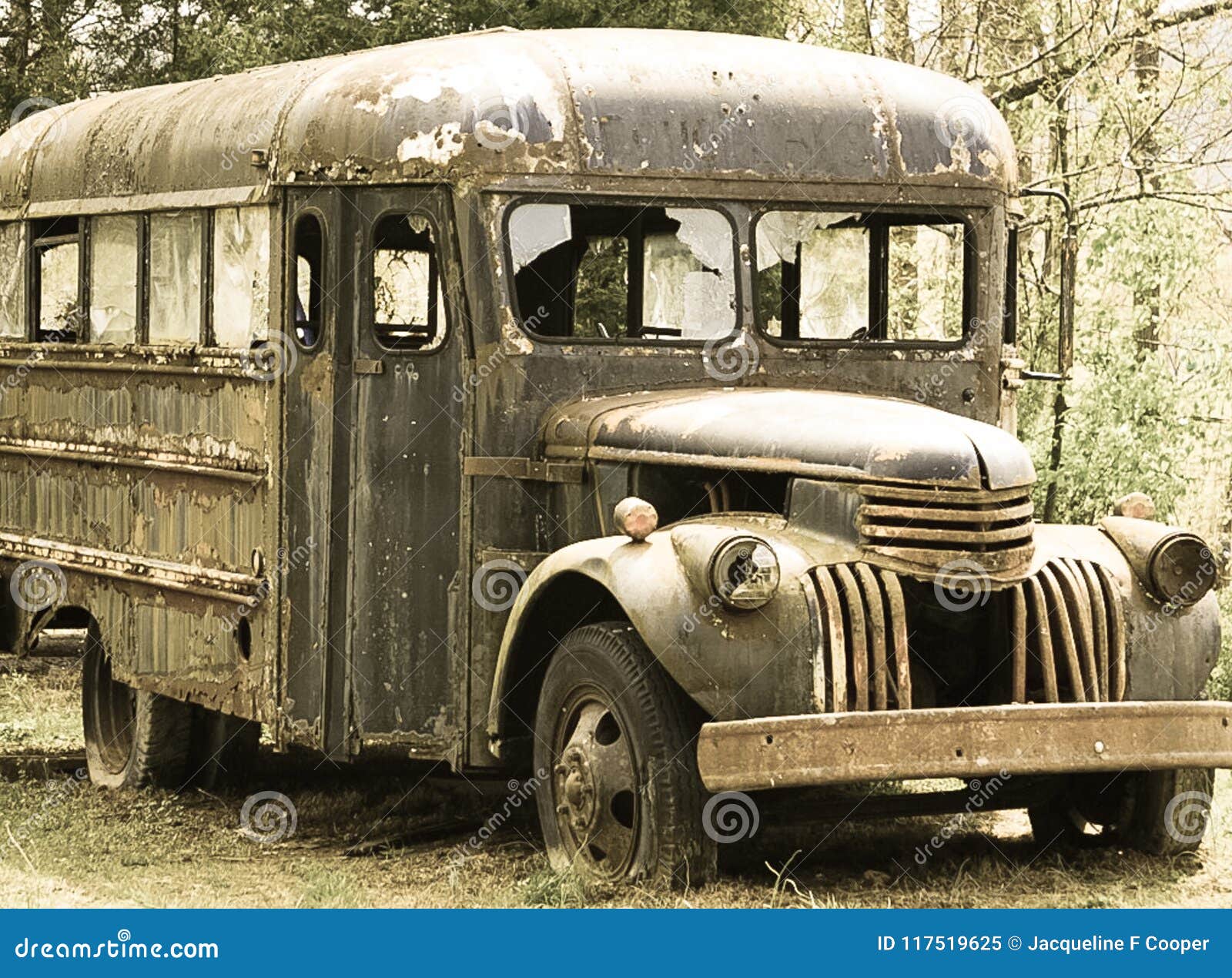 Terio Look Alike On Bus
