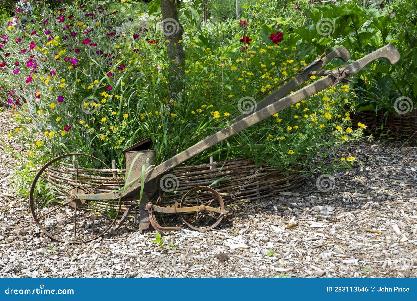 Old Hand Plough Stock Image | CartoonDealer.com #25778071