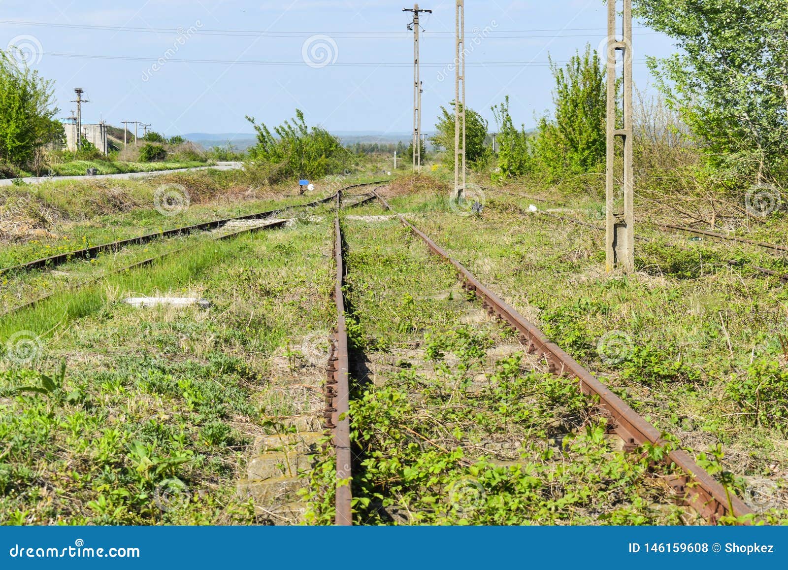 Old Abandoned Rusty Rails with Weeds and Plants through Them Stock ...