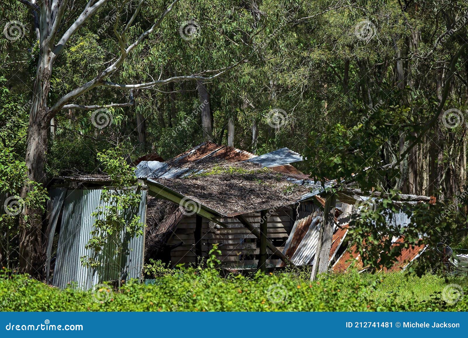 Falling Down Old Shed stock image. Image of farmhouse - 212741481