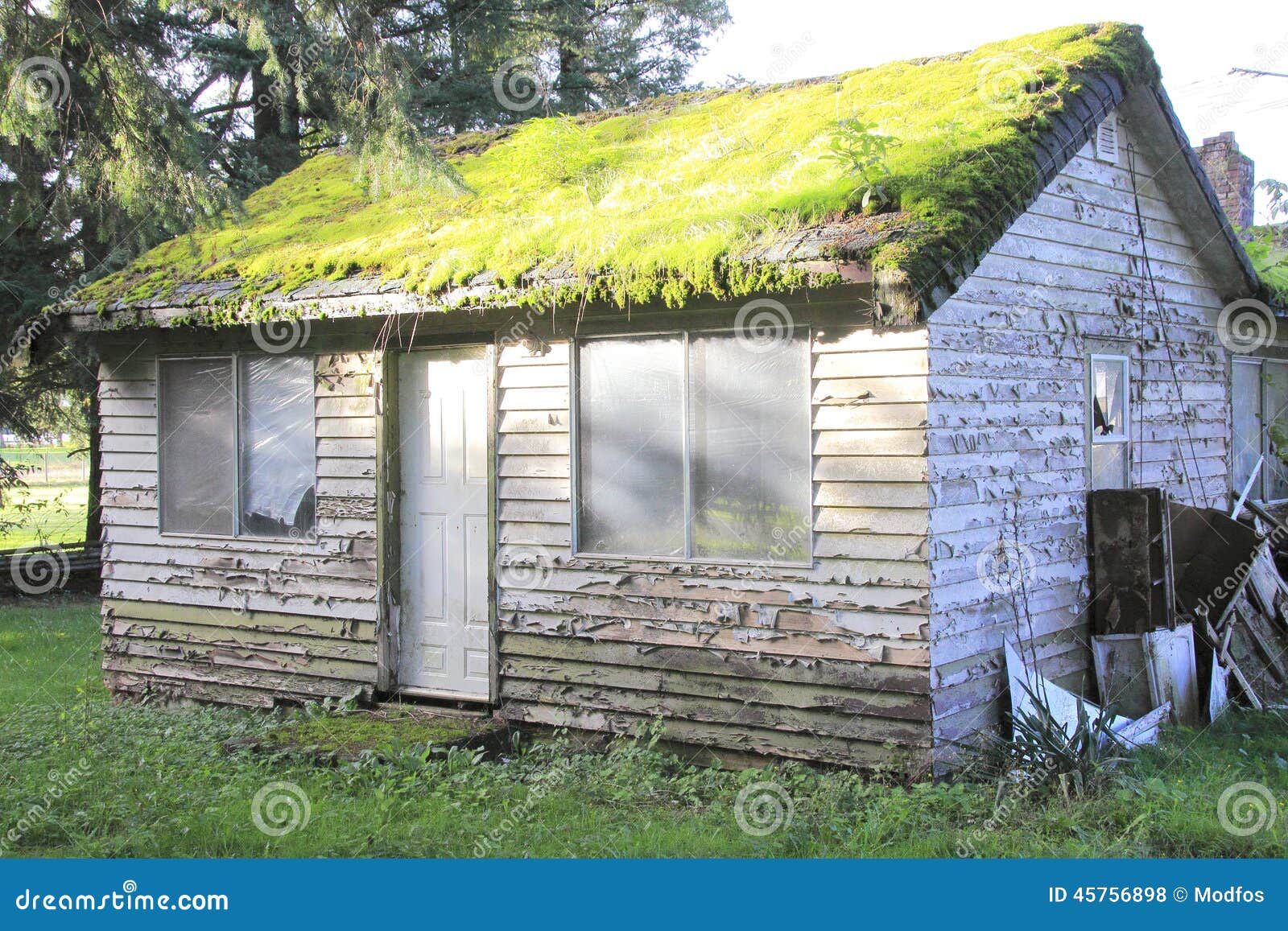 Old Abandoned Shack stock photo. Image of building, trees - 45756898