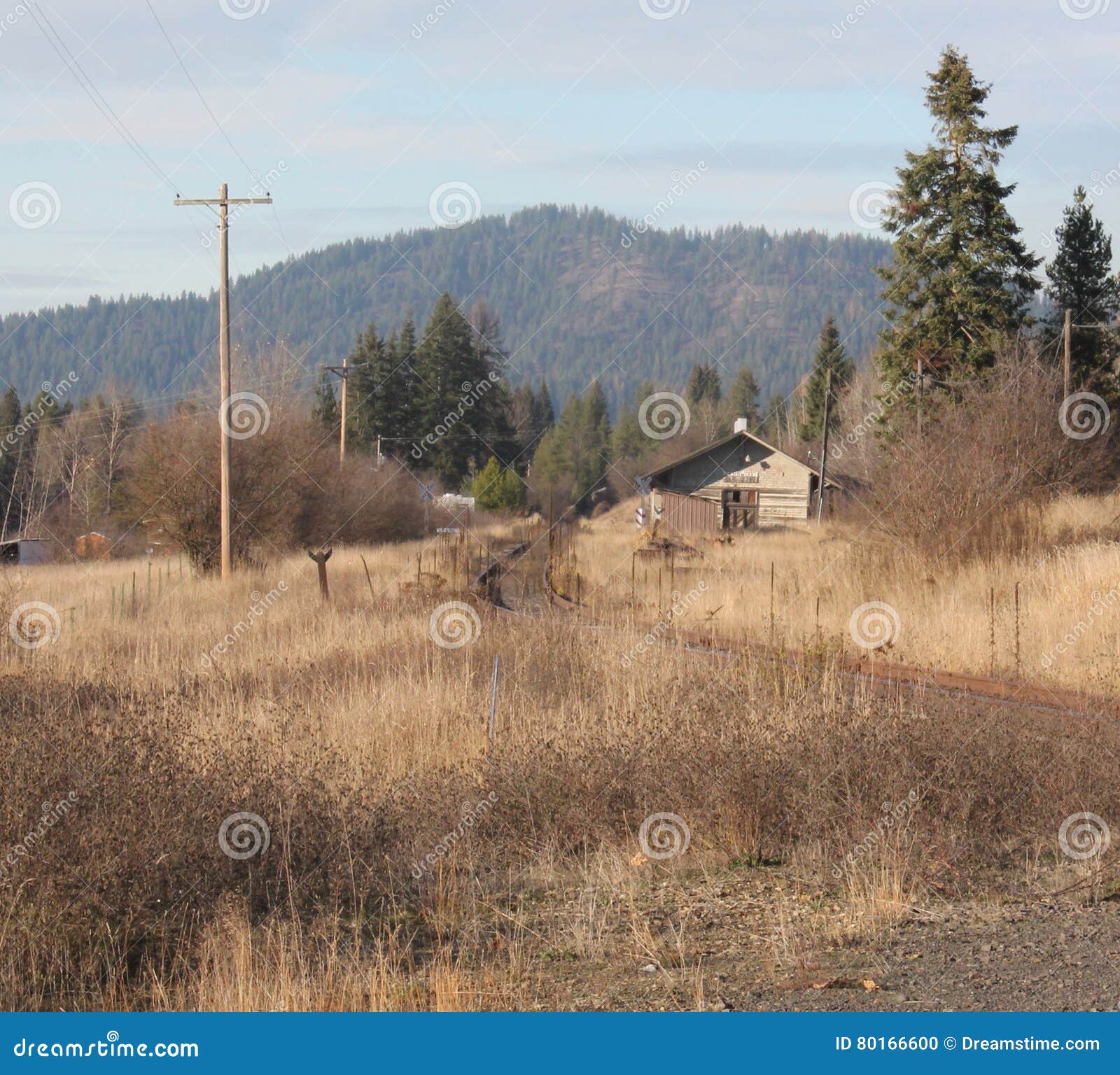 Old abandoned train depot editorial image. Image of abandoned - 80166600