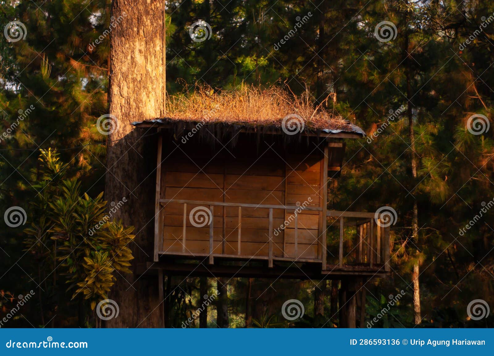 Old Abandoned Tree House in a Park Stock Photo - Image of park, tree ...