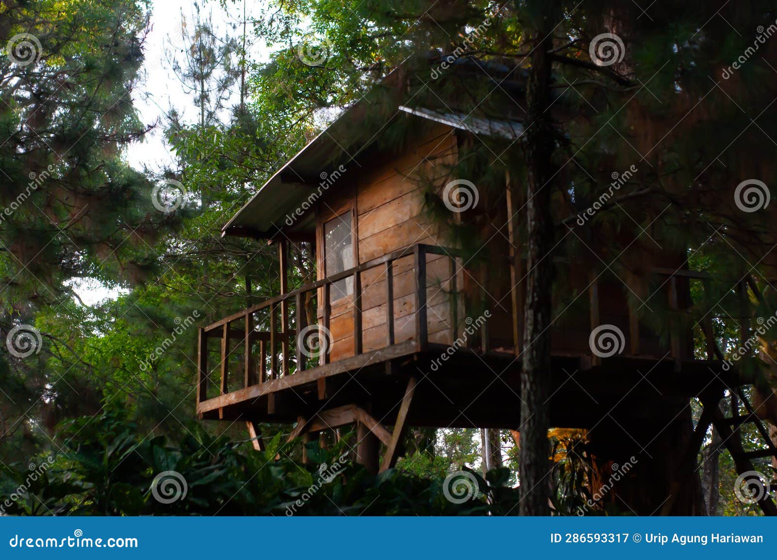 Old Abandoned Tree House in a Park Stock Image - Image of park, tree ...