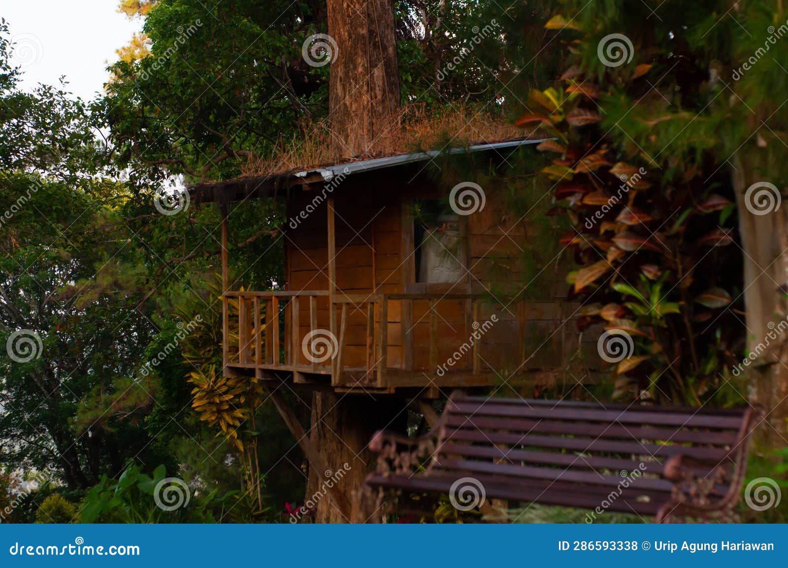 Old Abandoned Tree House in a Park Stock Photo - Image of house, park ...