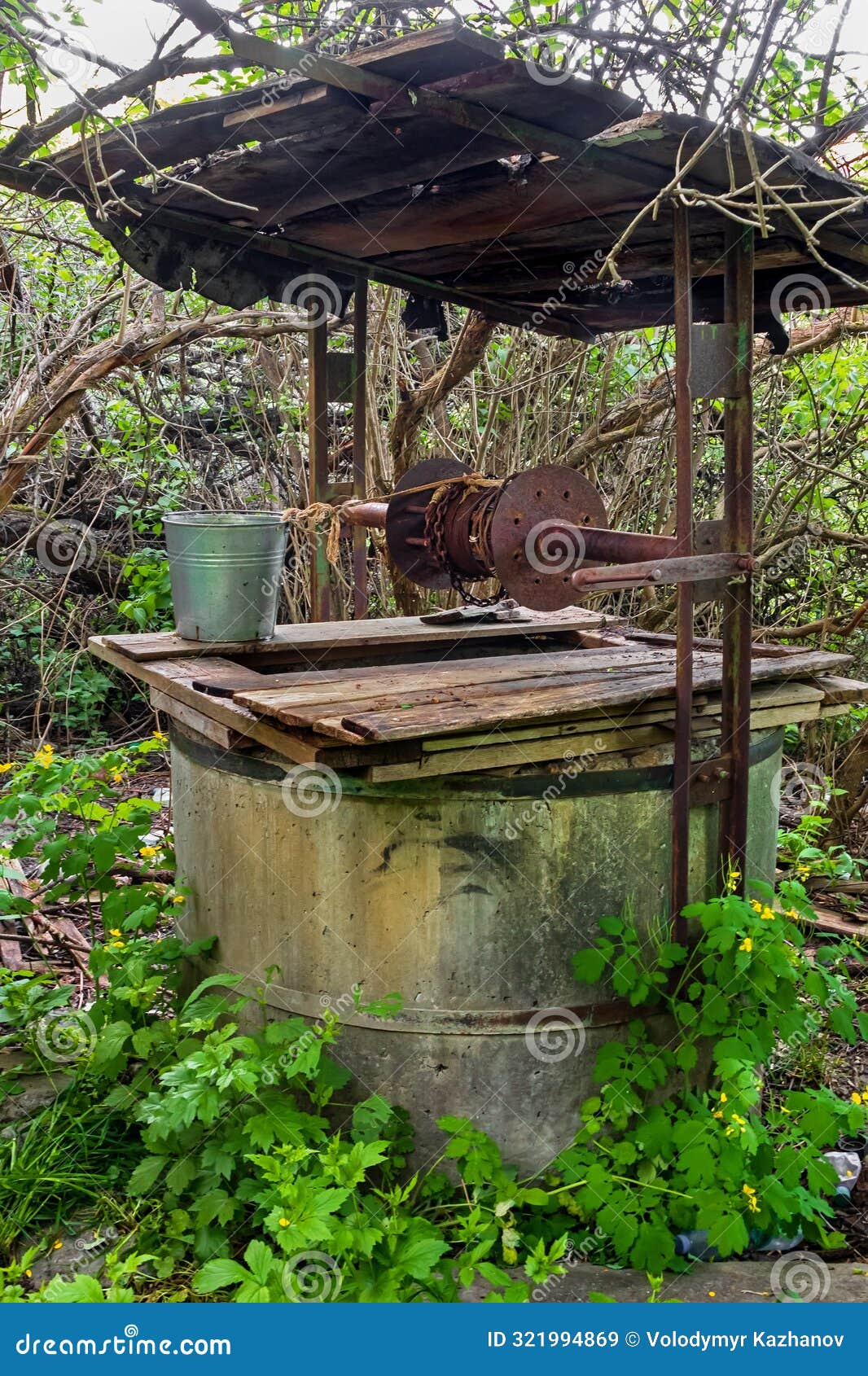 An Old Abandoned Well in the Forest. Rural Water Source Stock Image ...