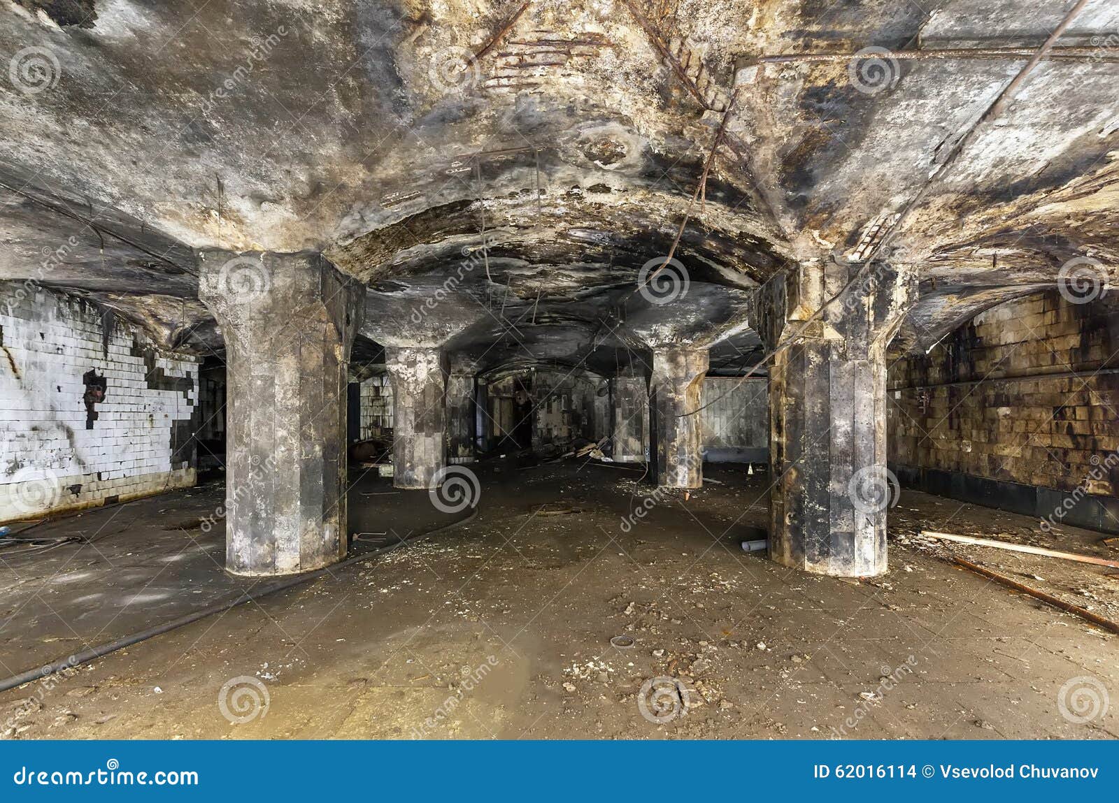 Old abandoned wine cellar stock photo. Image of horror - 62016114