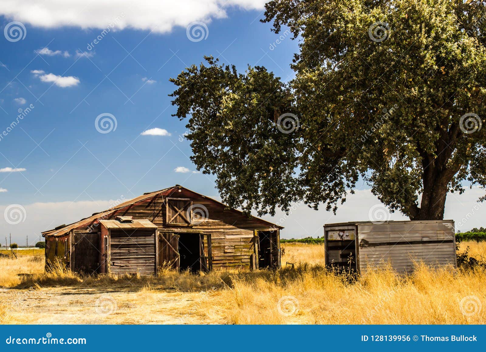 Old Abandoned Wooden Shed and Metal Container Stock Photo - Image of ...