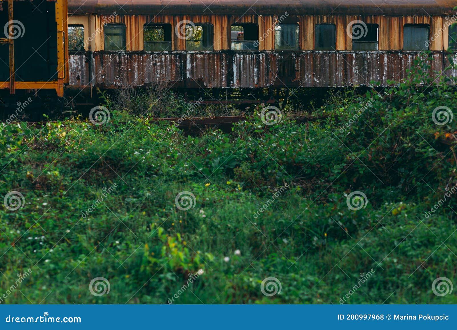 Old Abandoned Yellow Train in Scrap Yard, Forgotten and Overgrown with ...