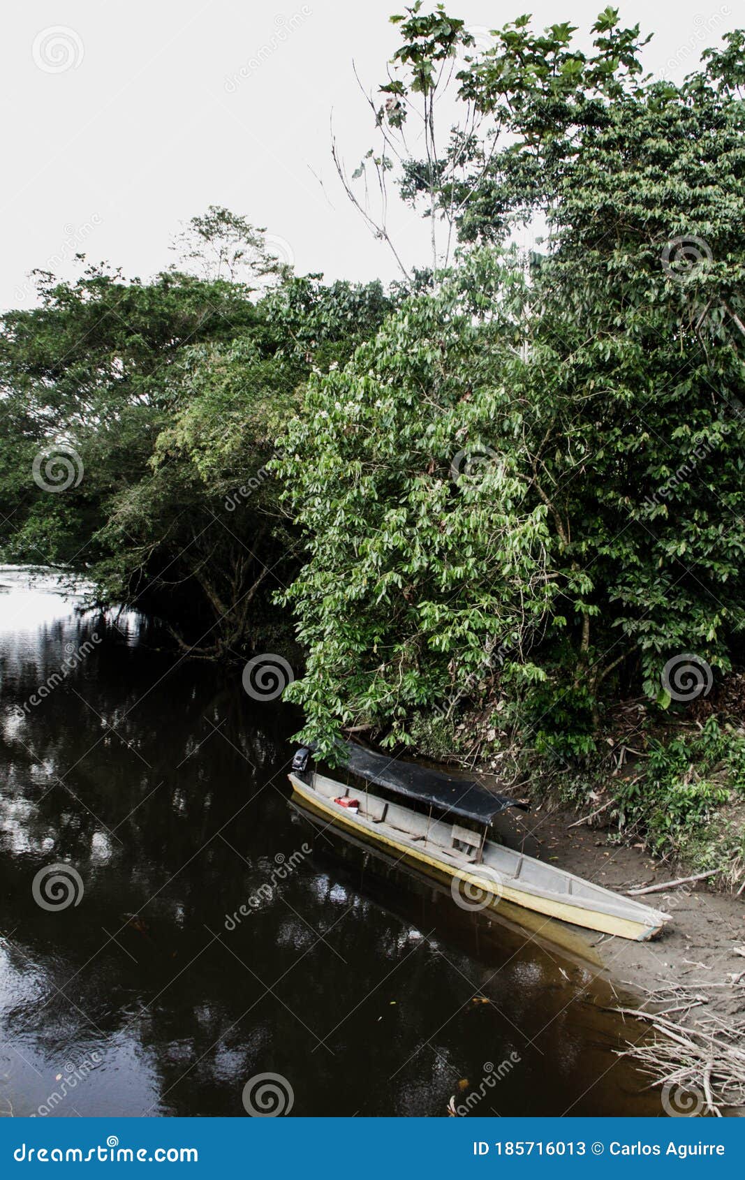 Old Aboriginal Boat on a River in the Amazon Stock Image - Image of ...