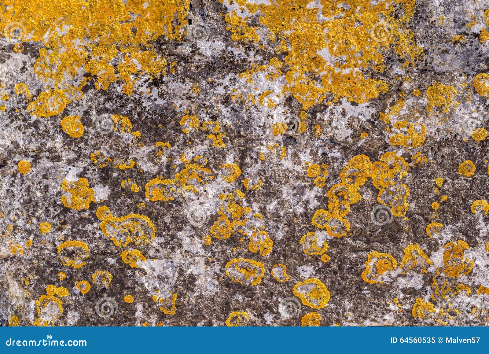 Old Abstract Texture of a Decayed Stone Surface Stock Image - Image of ...