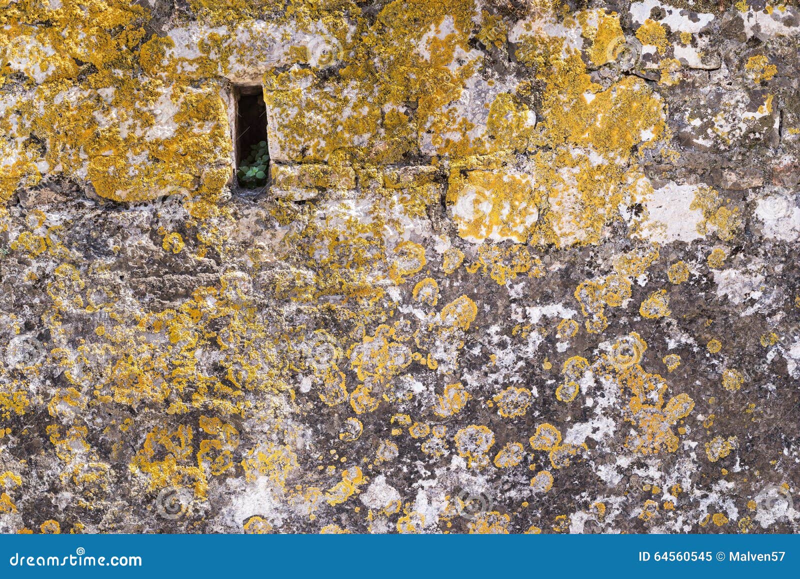Old Abstract Texture of a Decayed Stone Surface Stock Image - Image of ...