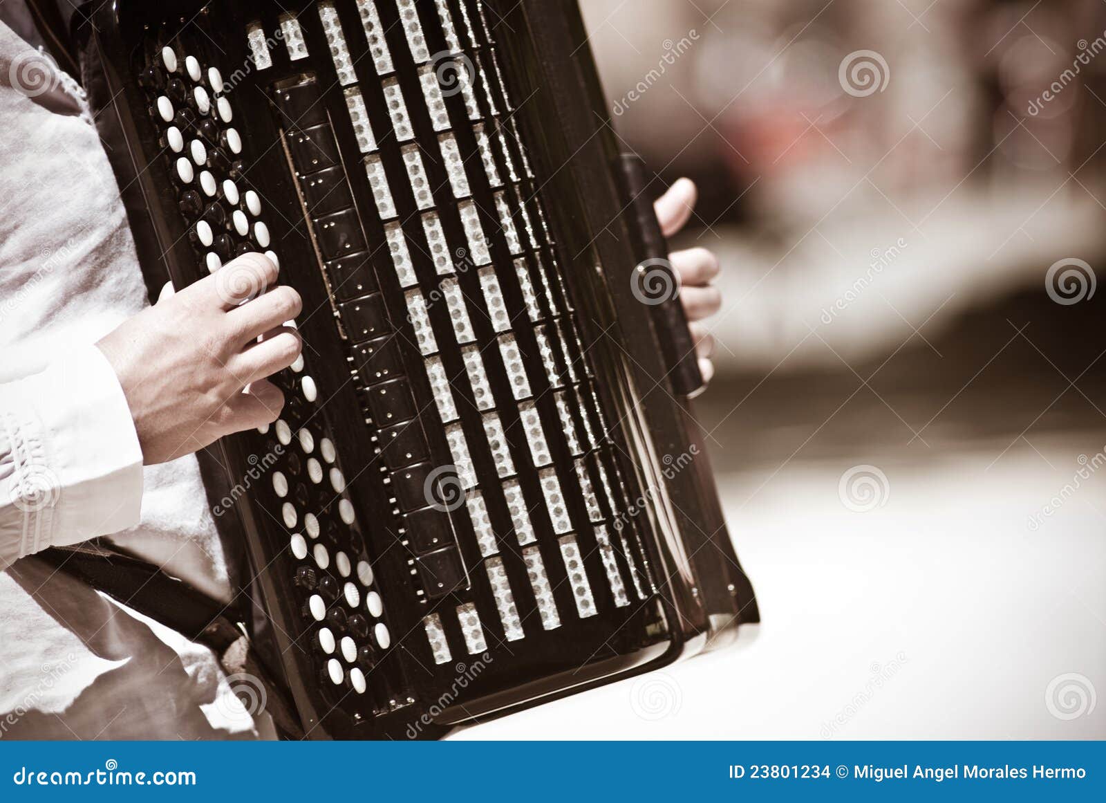 Old Accordion stock photo. Image of music, antique, play - 23801234