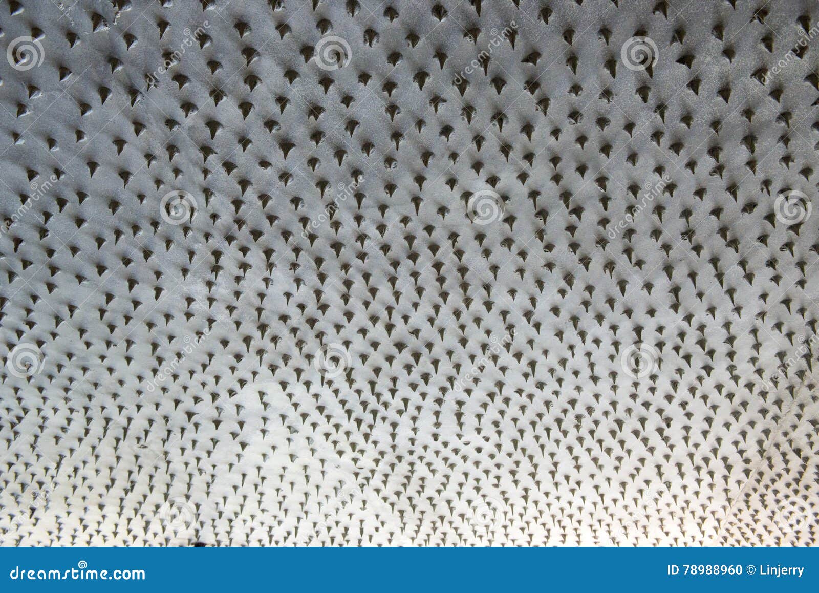Acicular Ceiling Stock Photos - Free & Royalty-Free Stock Photos from ...