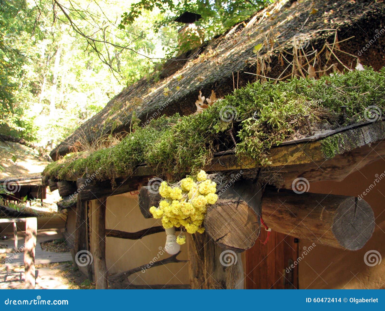The Old Adobe House with a Thatched Roof Stock Photo - Image of ...