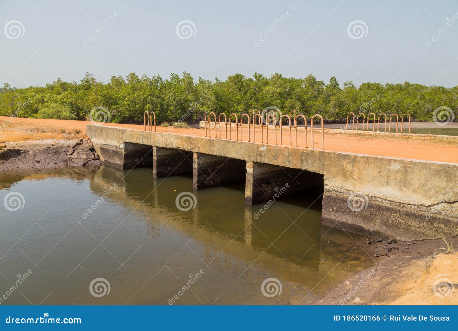 Old african bridge stock photo. Image of africa, countryside - 186520166