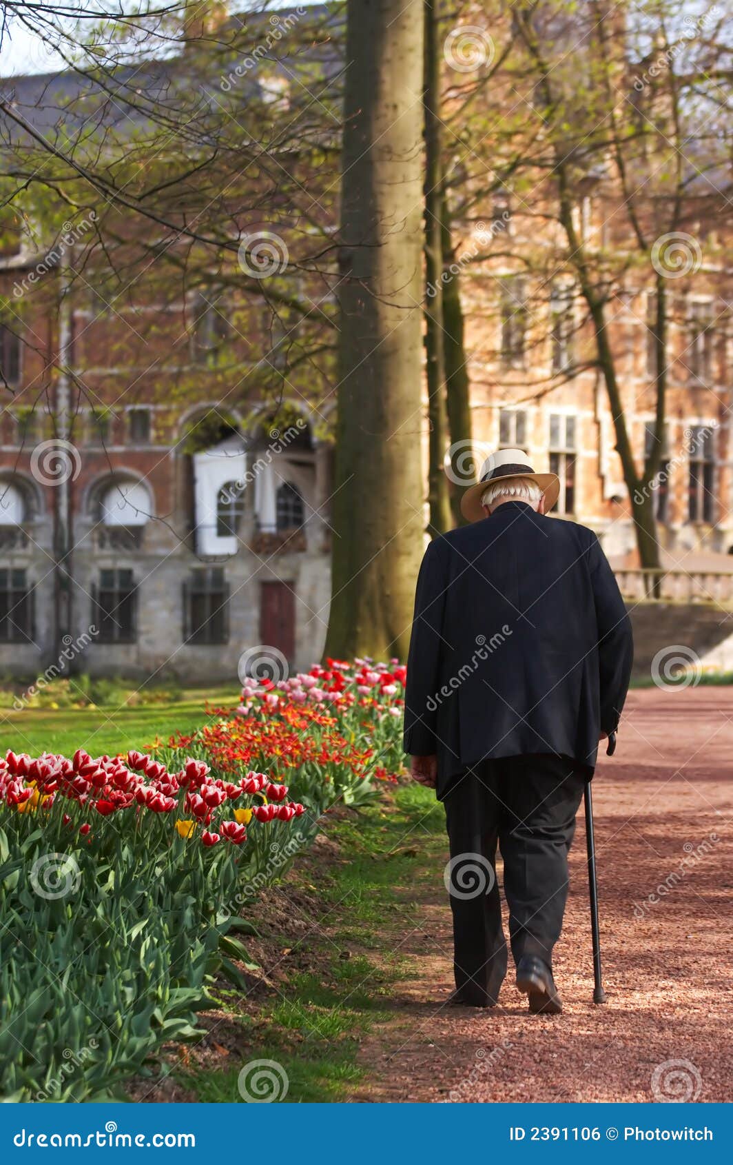 Old age in springtime stock photo. Image of castle, stick - 2391106